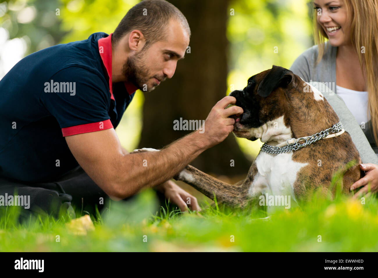 Young People With Their Dog In The Park Stock Photo - Alamy