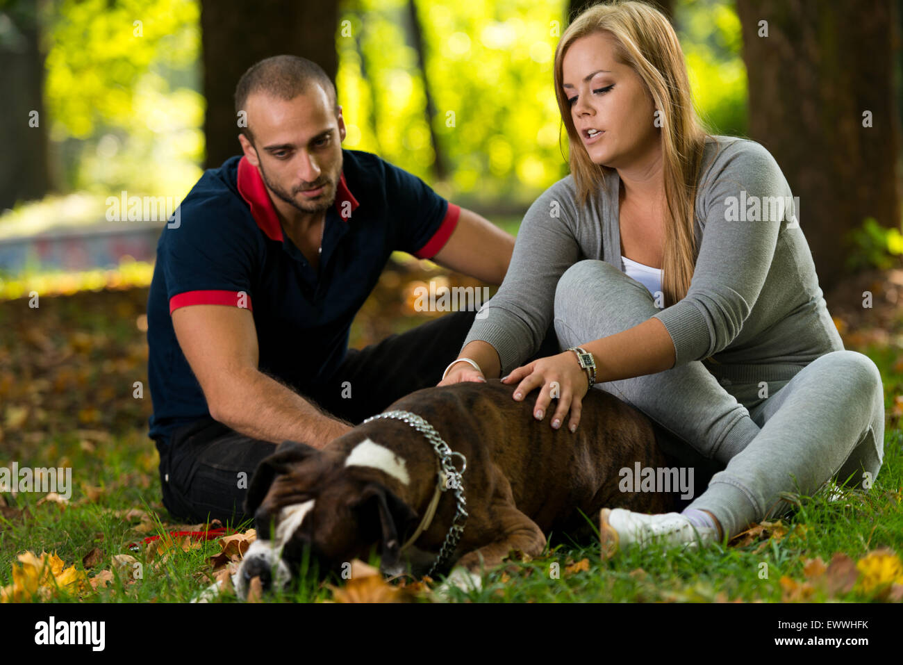 Two happy young boxer hi-res stock photography and images - Alamy