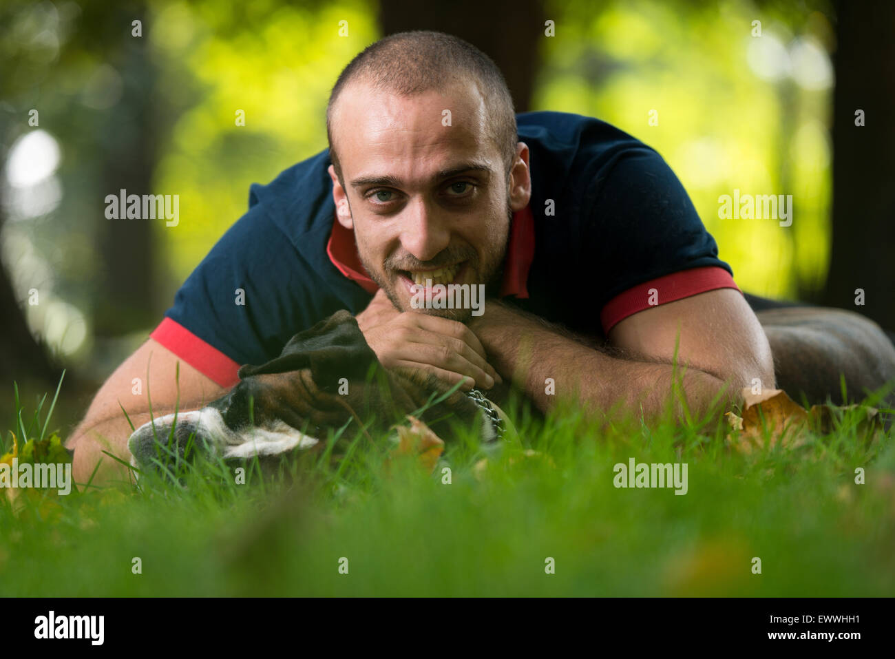 Man's Best Friend Stock Photo - Alamy