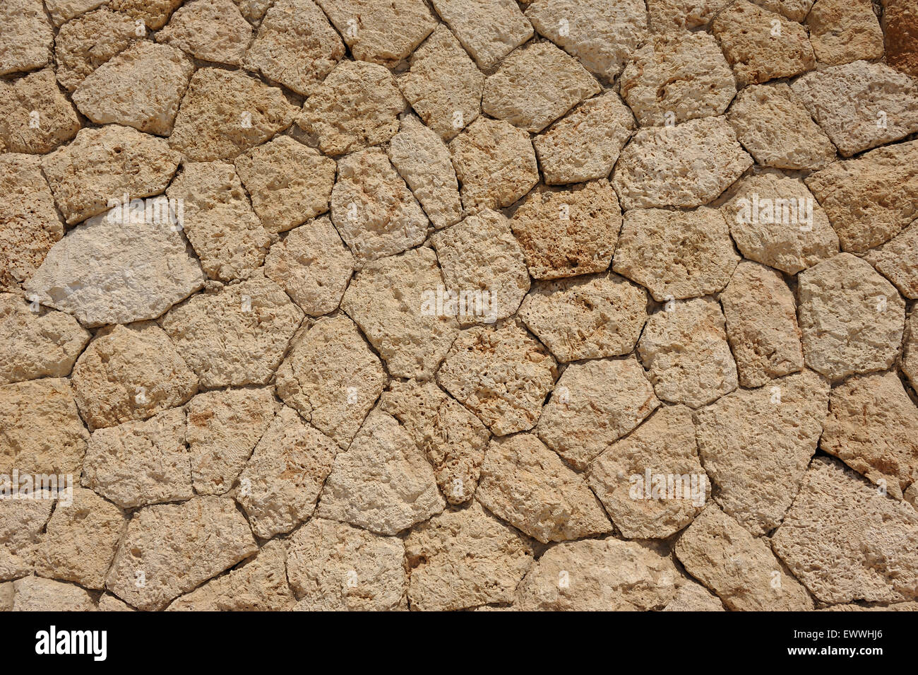 Close up of wall stones with mollusc tracks Stock Photo - Alamy