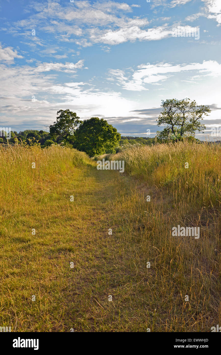 Pathway through the countryside hi-res stock photography and images - Alamy