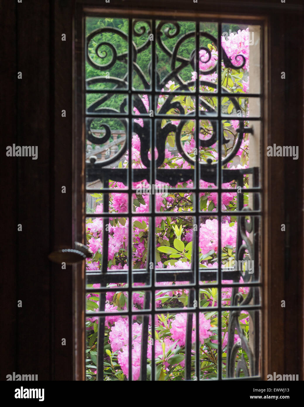 Wrought iron window bars hi-res stock photography and images - Alamy