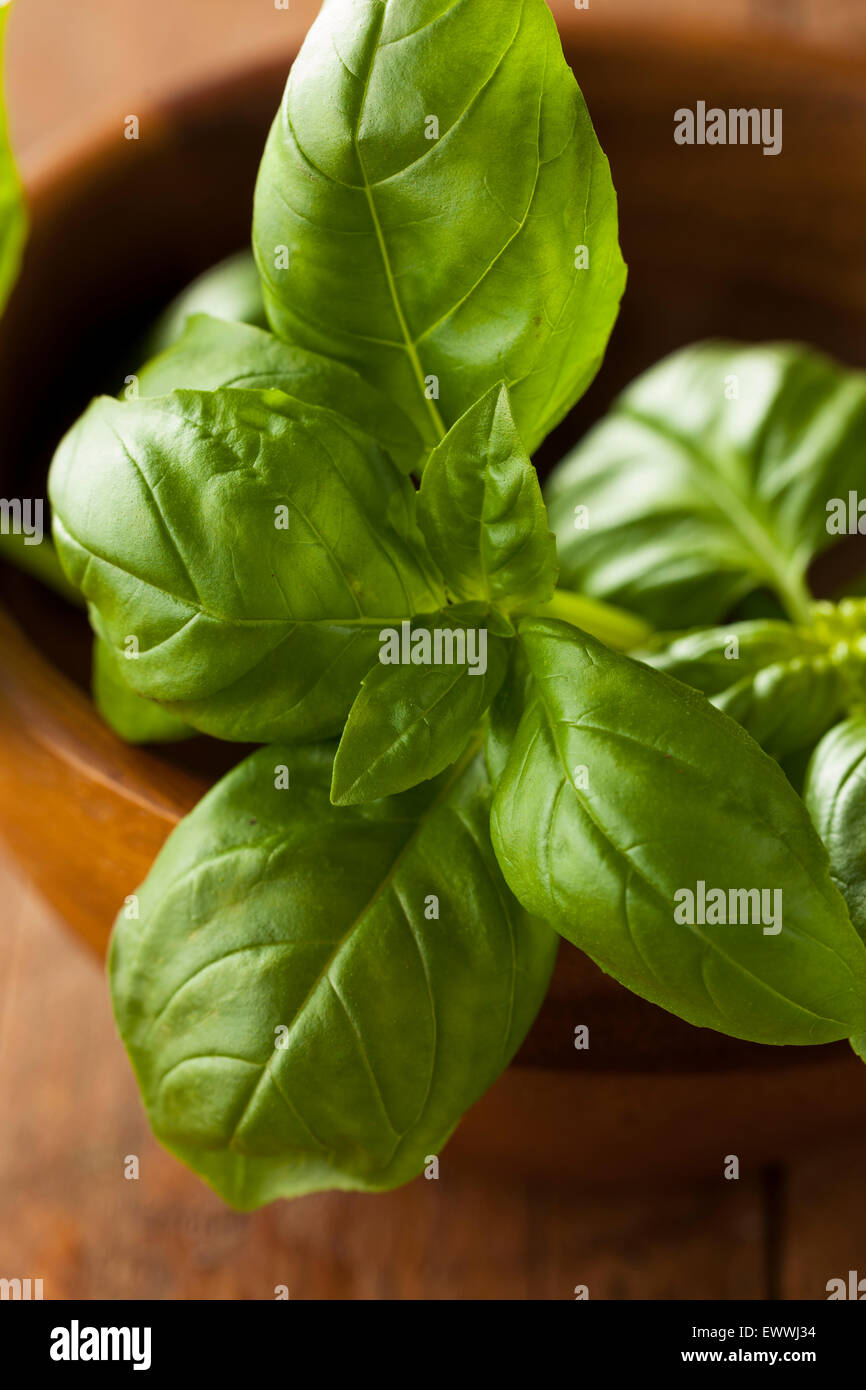 Raw Organic Green Basil Ready to Cook With Stock Photo - Alamy