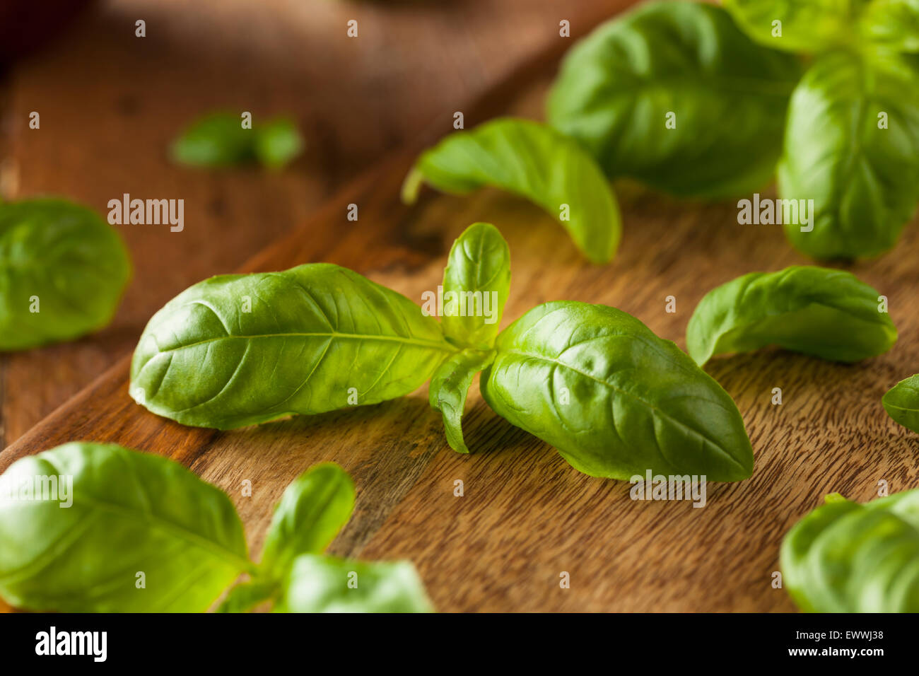 Raw Organic Green Basil Ready to Cook With Stock Photo - Alamy