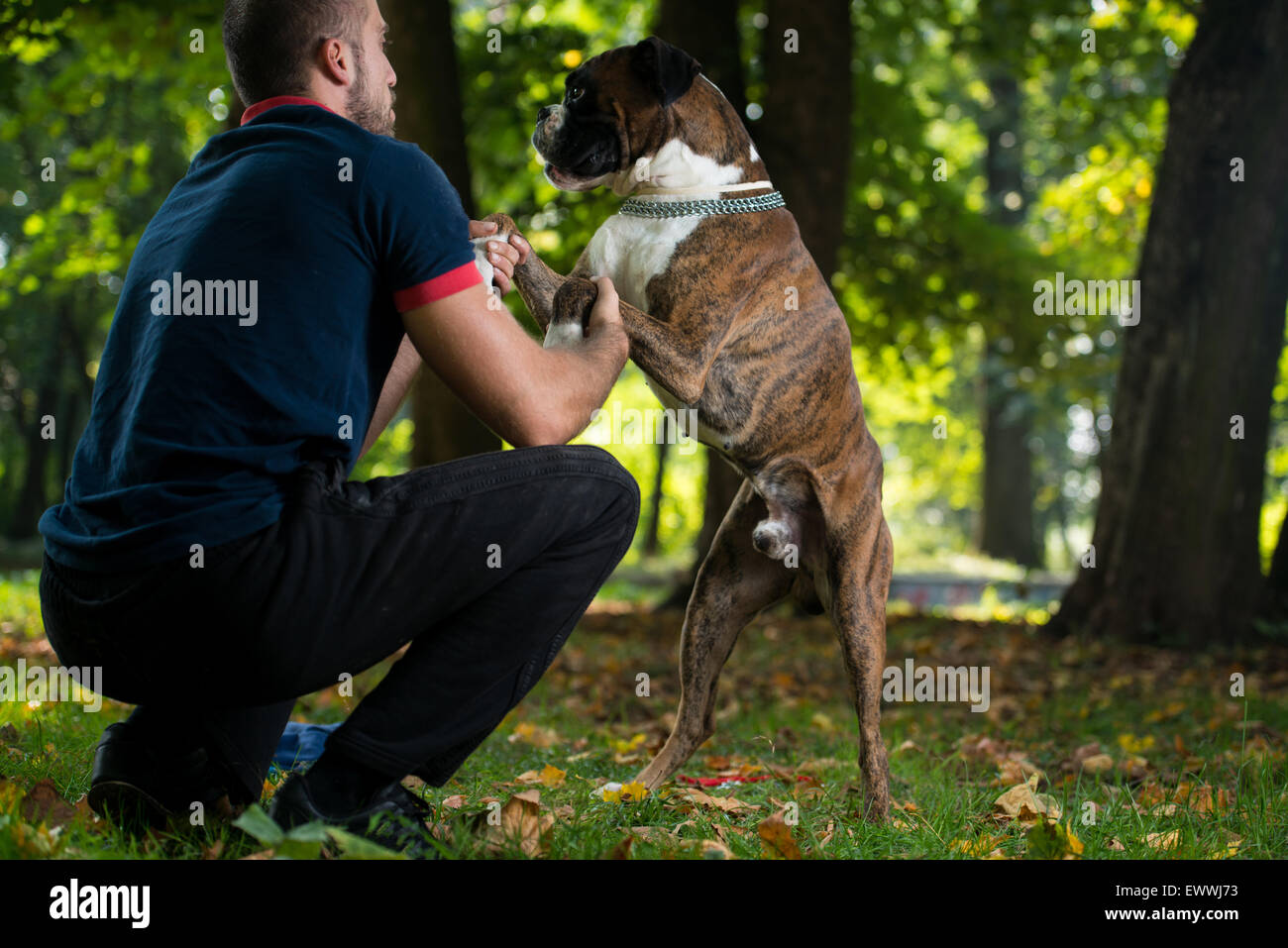 Young Man With Dog Stock Photo - Alamy