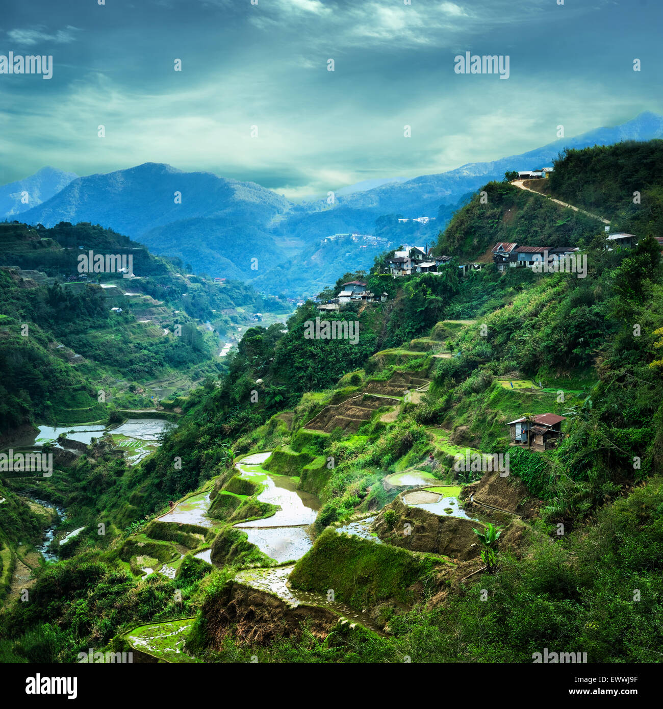 Amazing panorama view of rice terraces fields in Ifugao province ...