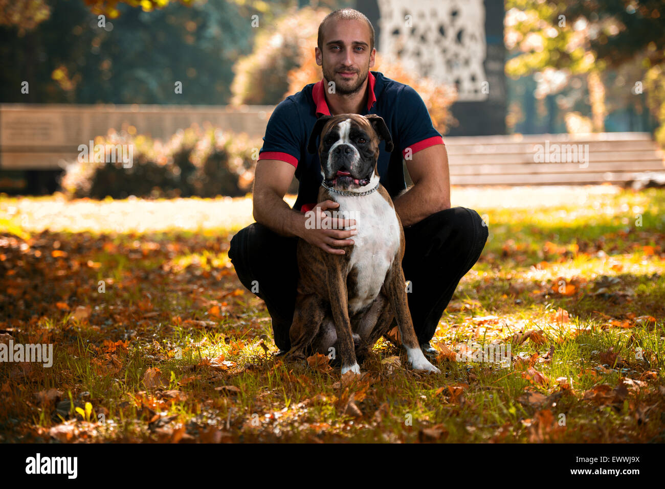 Man's Best Friend Stock Photo - Alamy