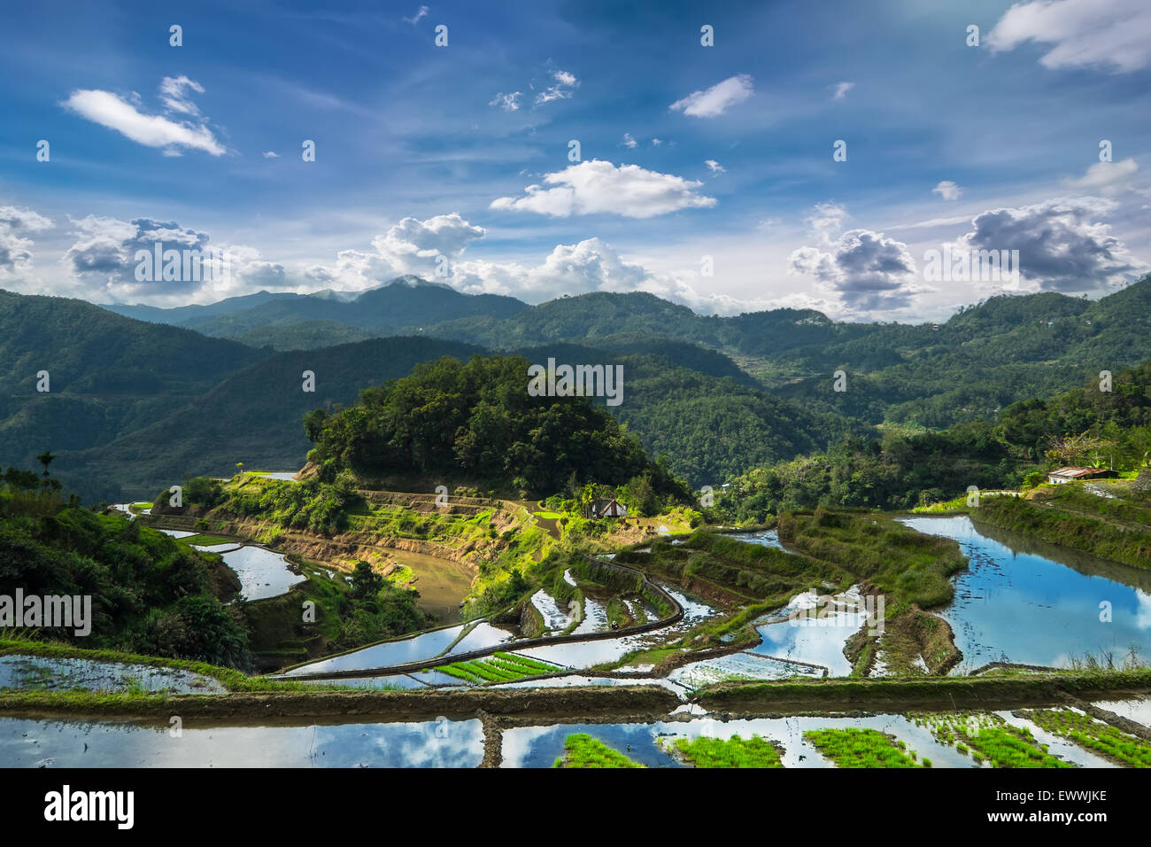 Amazing panorama view of rice terraces fields in Ifugao province ...