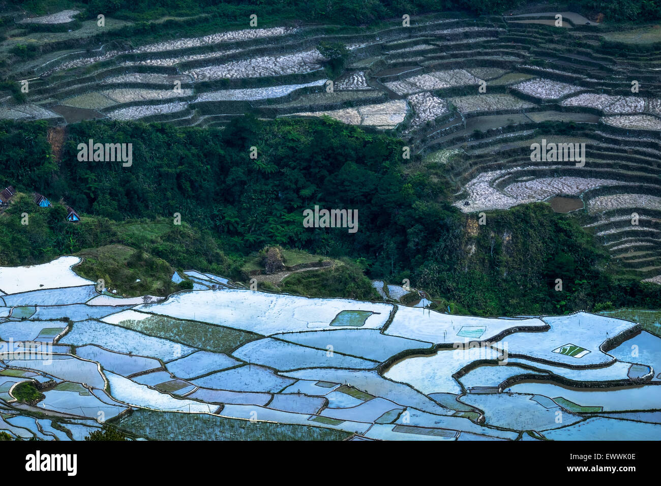 Amazing abstract texture of rice terraces fields with sky colorful ...