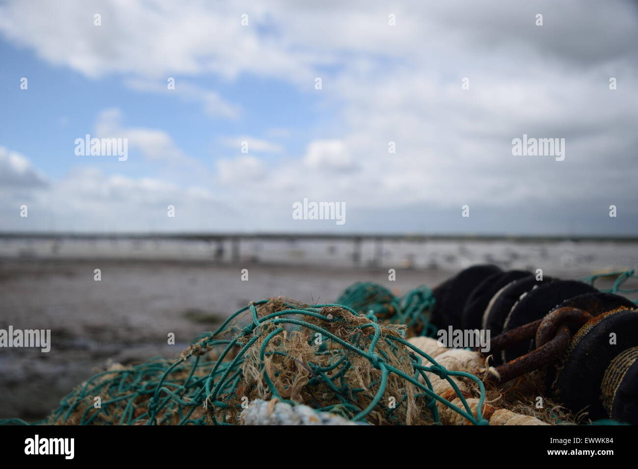 Mersea island fishing hi-res stock photography and images - Alamy