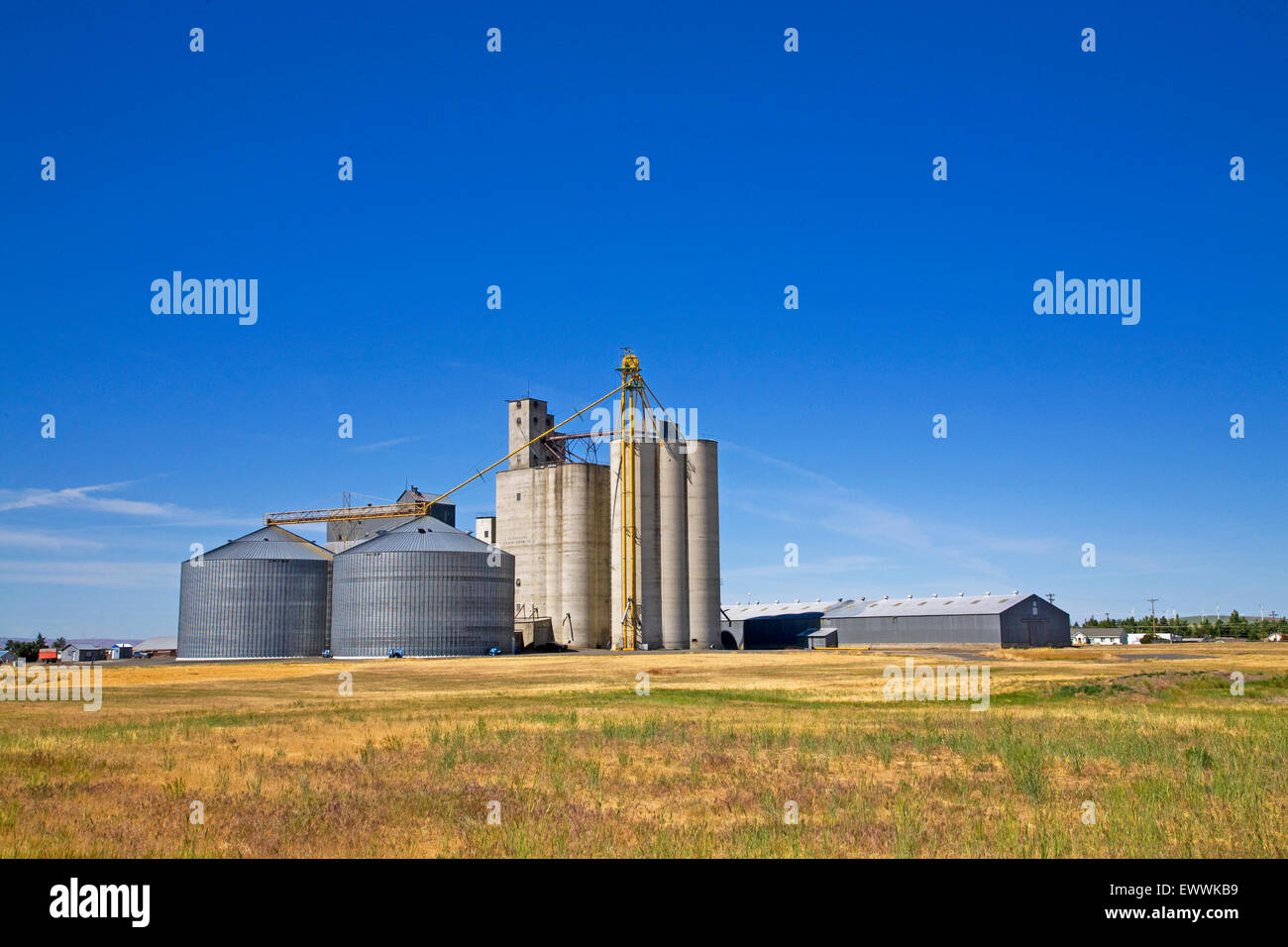 A giant storage ilo used to store wheat in condon, Oregon Stock Photo ...