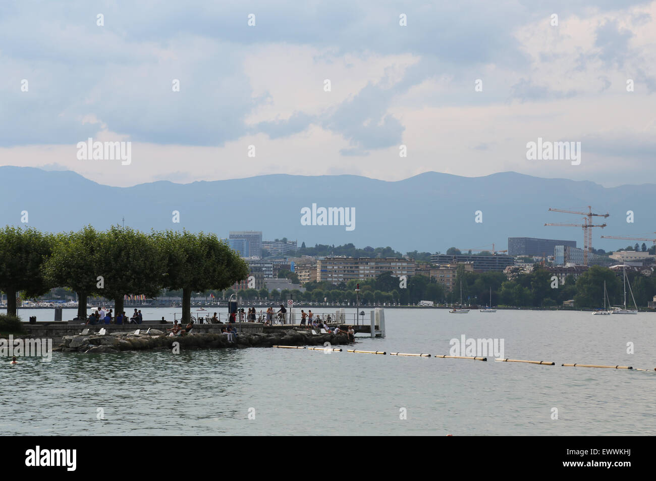 Geneva lake trees in switzerland hi-res stock photography and images ...
