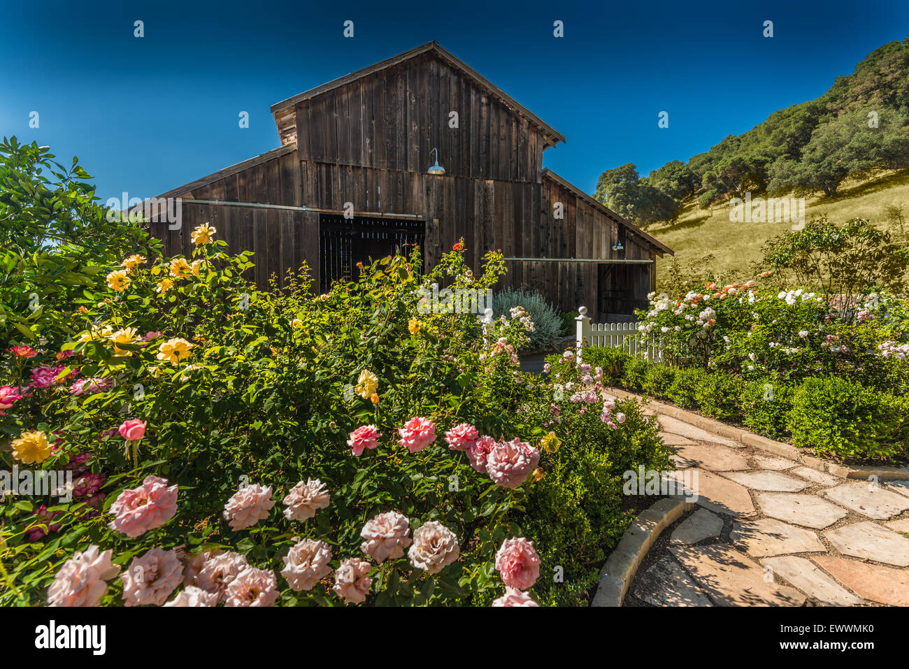 Wine country home estate barn and rose garden Stock Photo - Alamy