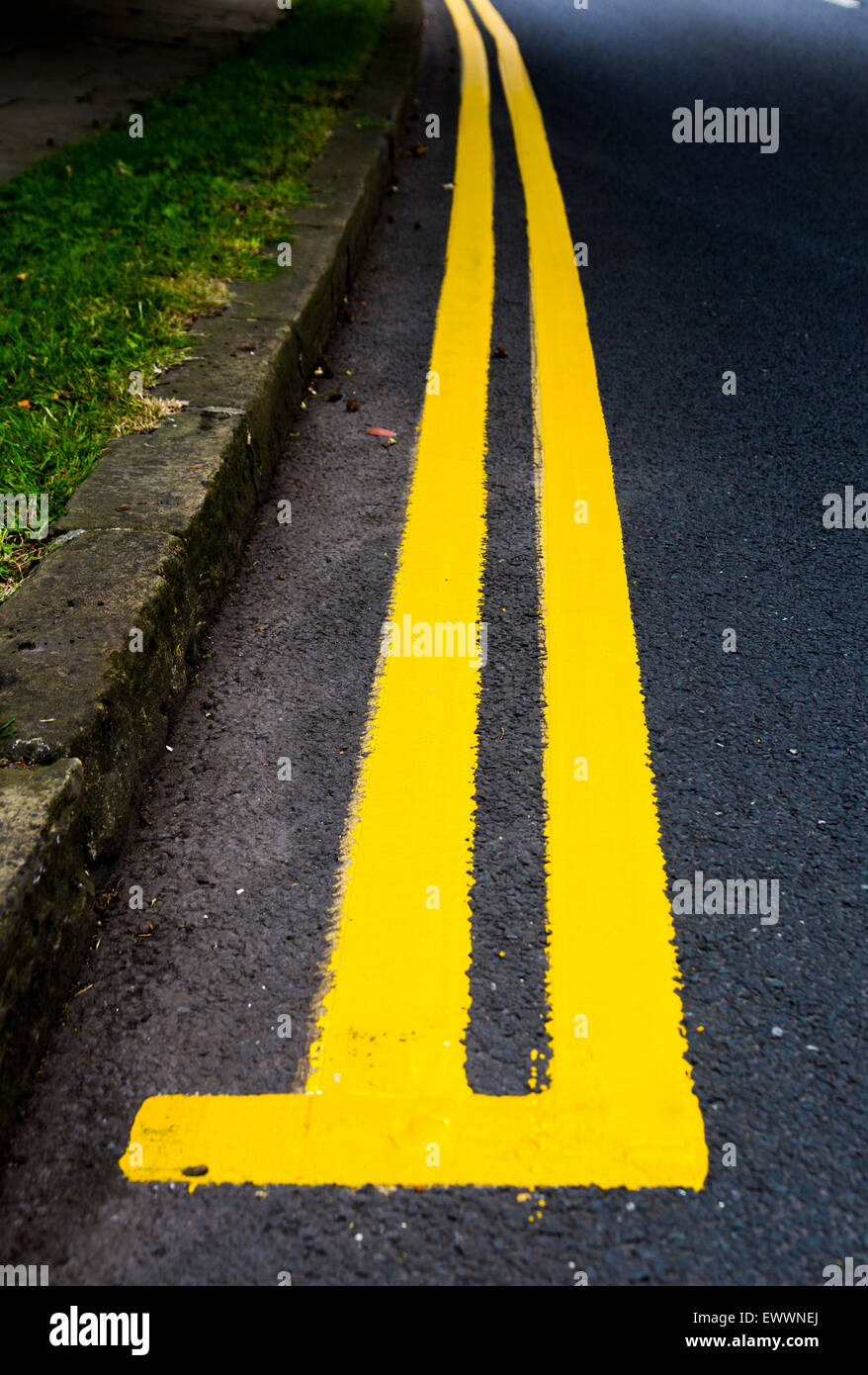 Yellow Line 𝐁𝐚𝐧𝐠𝐚𝐥𝐨𝐫𝐞 𝐍𝐚𝐦𝐦𝐚