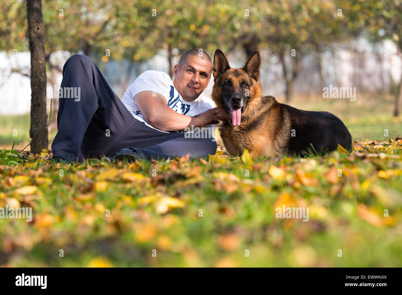 Man With Dog German Shepherd Stock Photo - Alamy