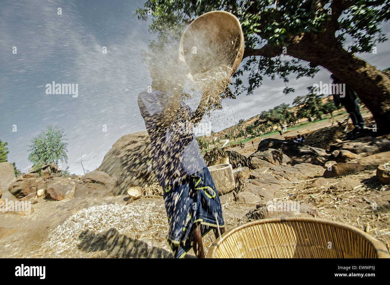 Mali crops hi-res stock photography and images - Alamy