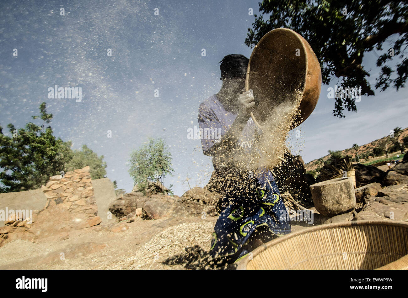 Mali crops hi-res stock photography and images - Alamy