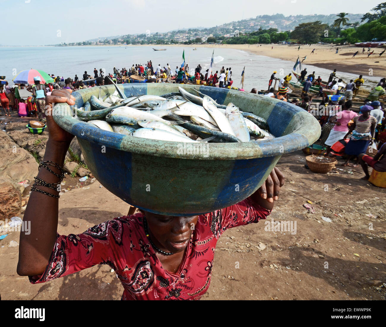 Fishing at a beach outside Freetown in Sierra Leone Stock Photo - Alamy