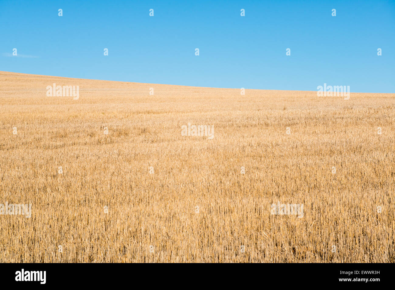South african farming hi-res stock photography and images - Alamy