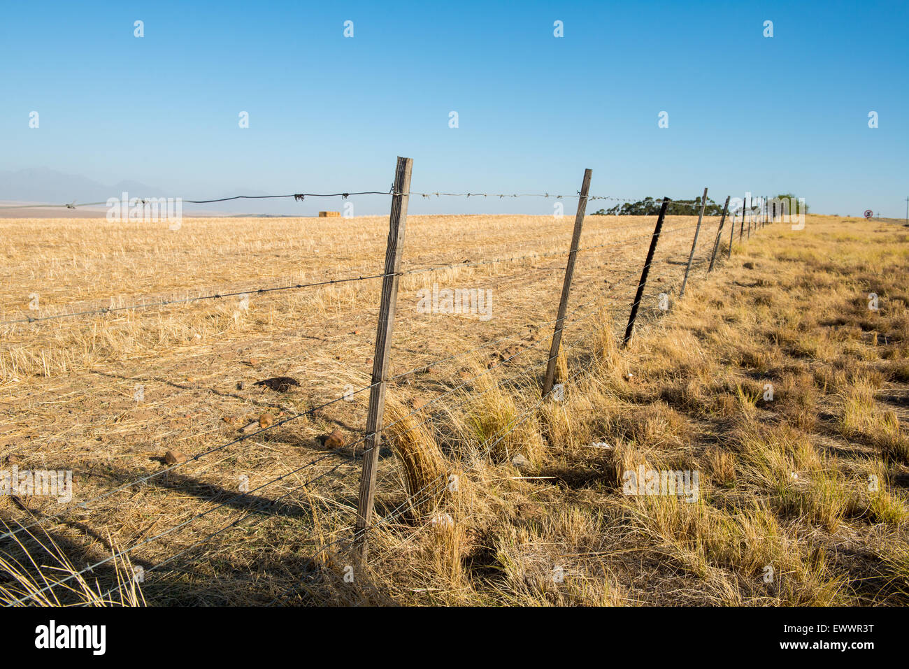 South african farming hi-res stock photography and images - Alamy