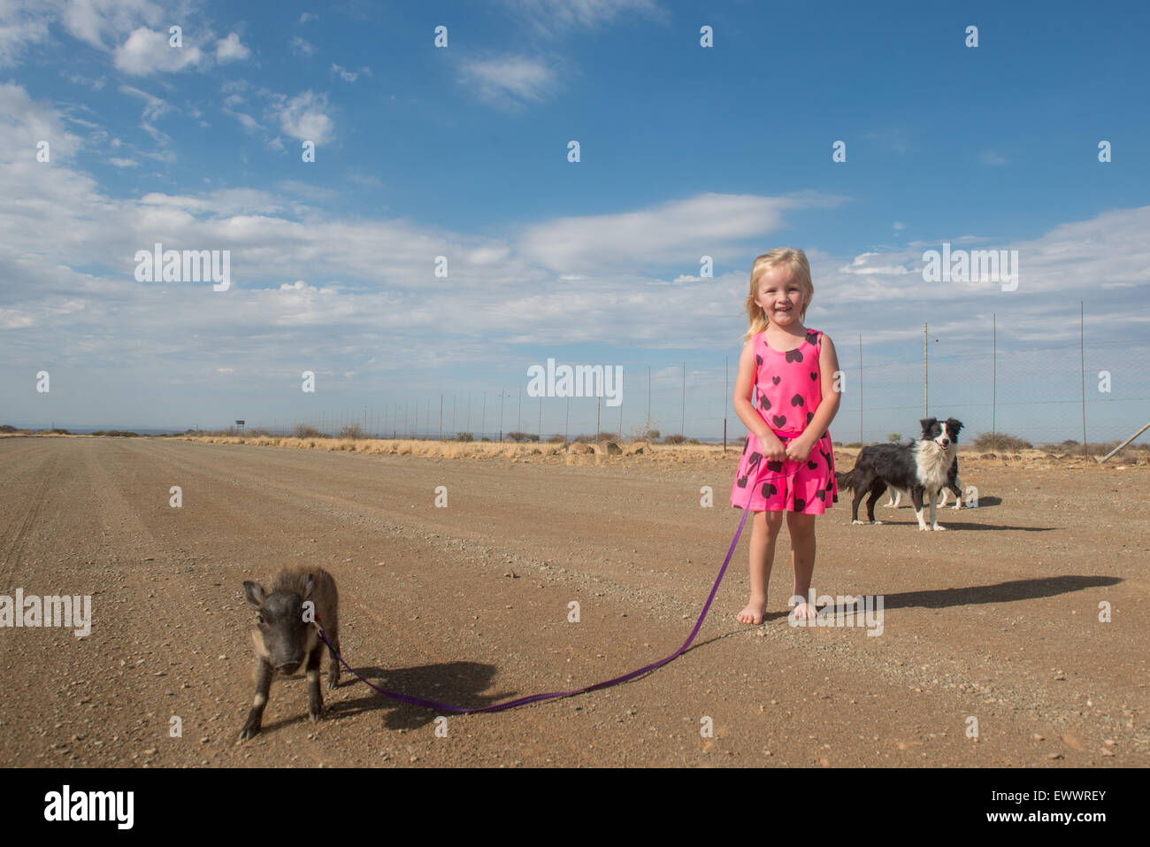 Pig farm africa hi-res stock photography and images - Alamy