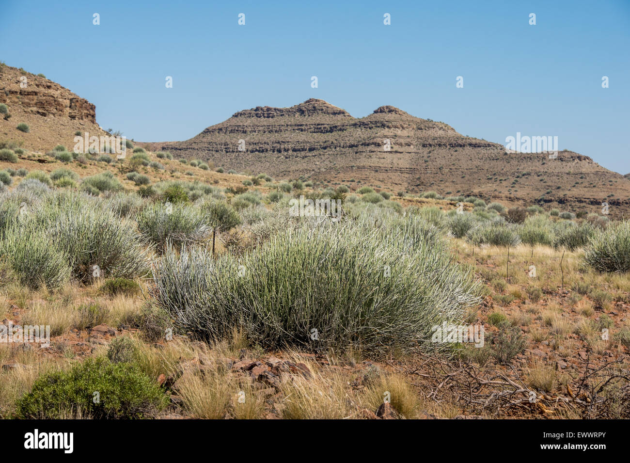 Open landscape hi-res stock photography and images - Alamy