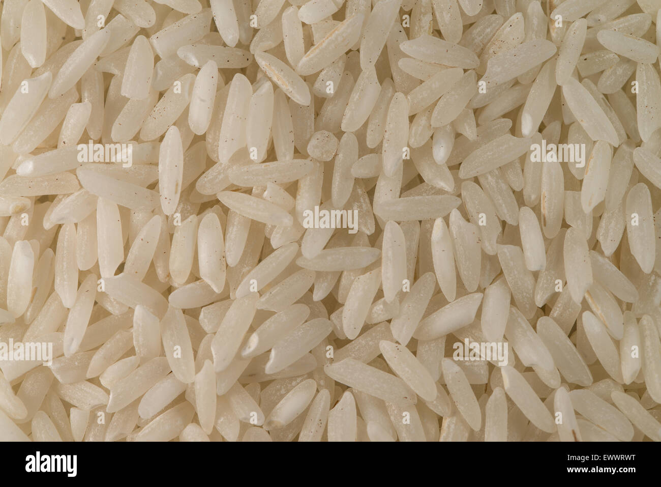 Long and short grain rice hi-res stock photography and images - Alamy
