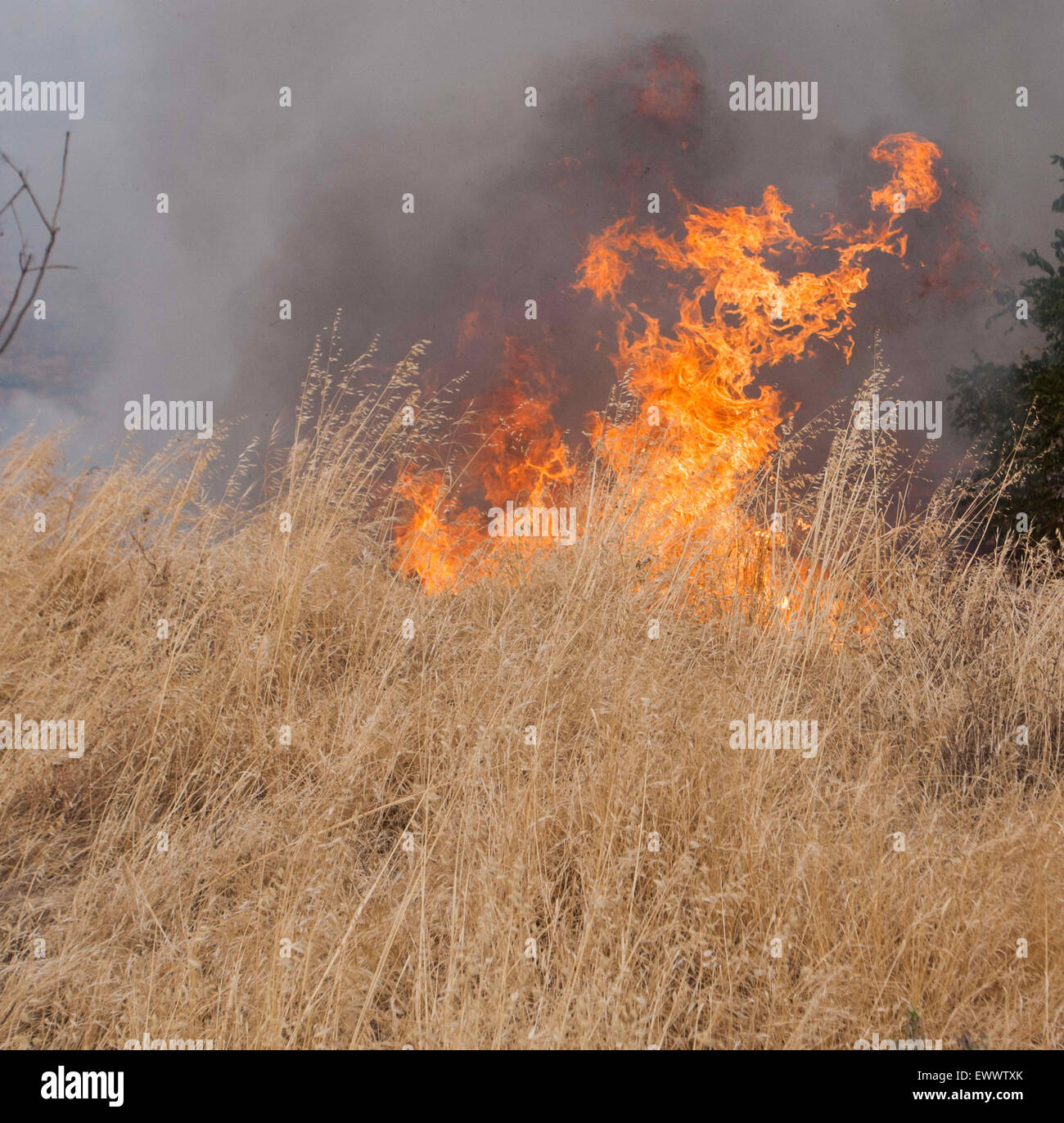 Modesto, Ca, Usa. 1st July, 2015. Modesto Fire Department responded to ...