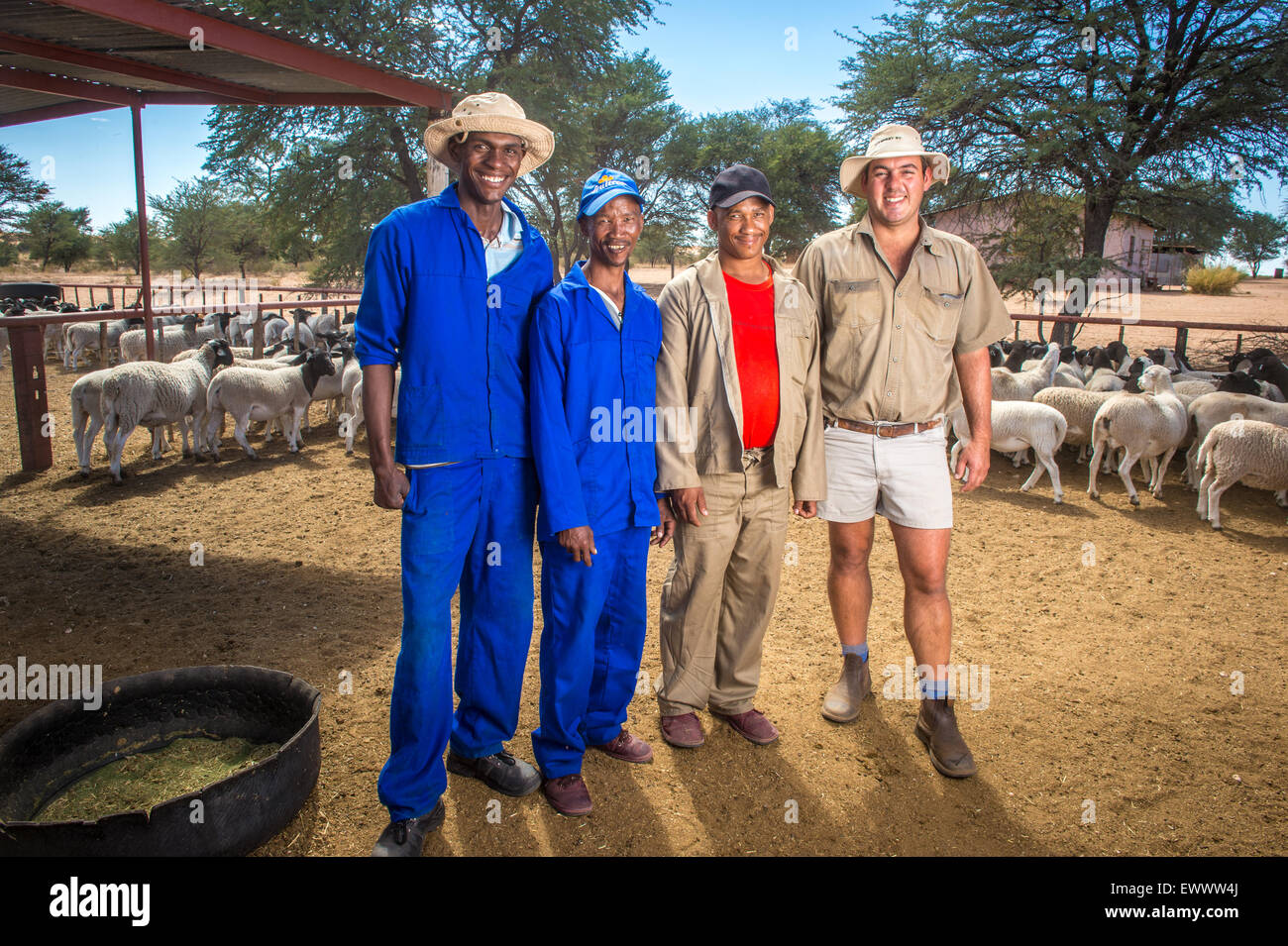 Namibia - Portrait of sheep and shepherds in Africa Stock Photo - Alamy
