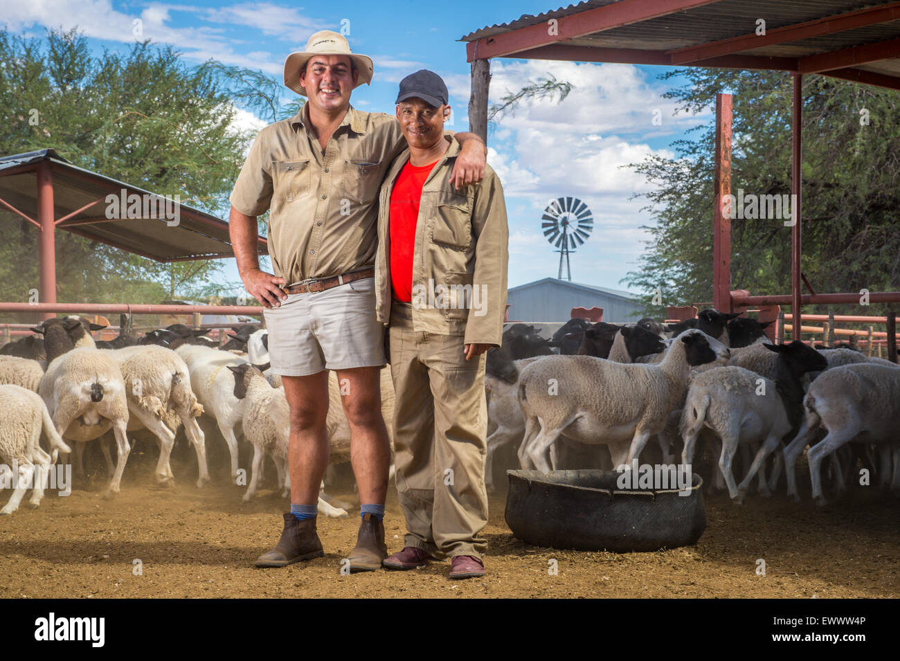 Namibia - Portrait of sheep and shepherds in Africa Stock Photo - Alamy