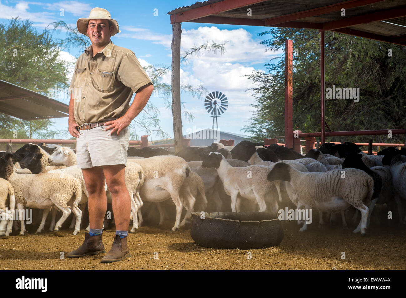 Sheep herd farmer hi-res stock photography and images - Alamy
