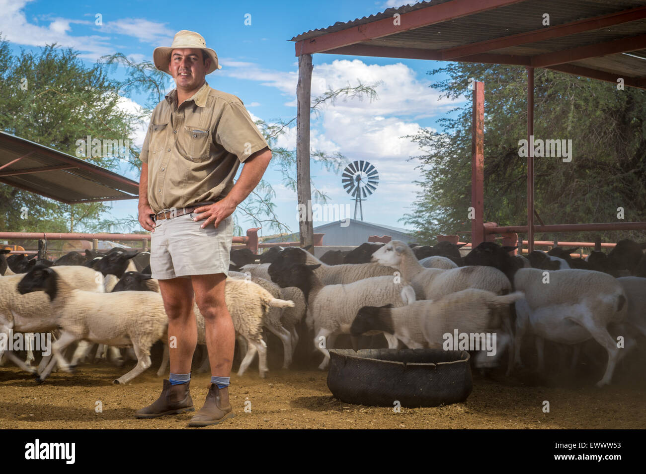 Namibia - Portrait of sheep and shepherd in Africa Stock Photo - Alamy