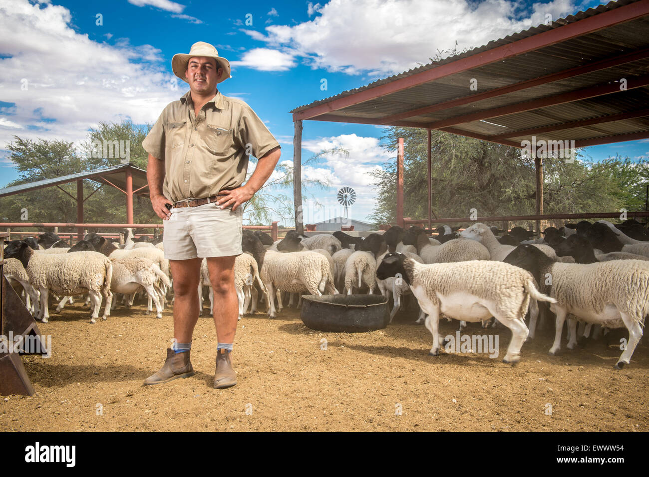 Namibia - Portrait of sheep and shepherd in Africa Stock Photo - Alamy