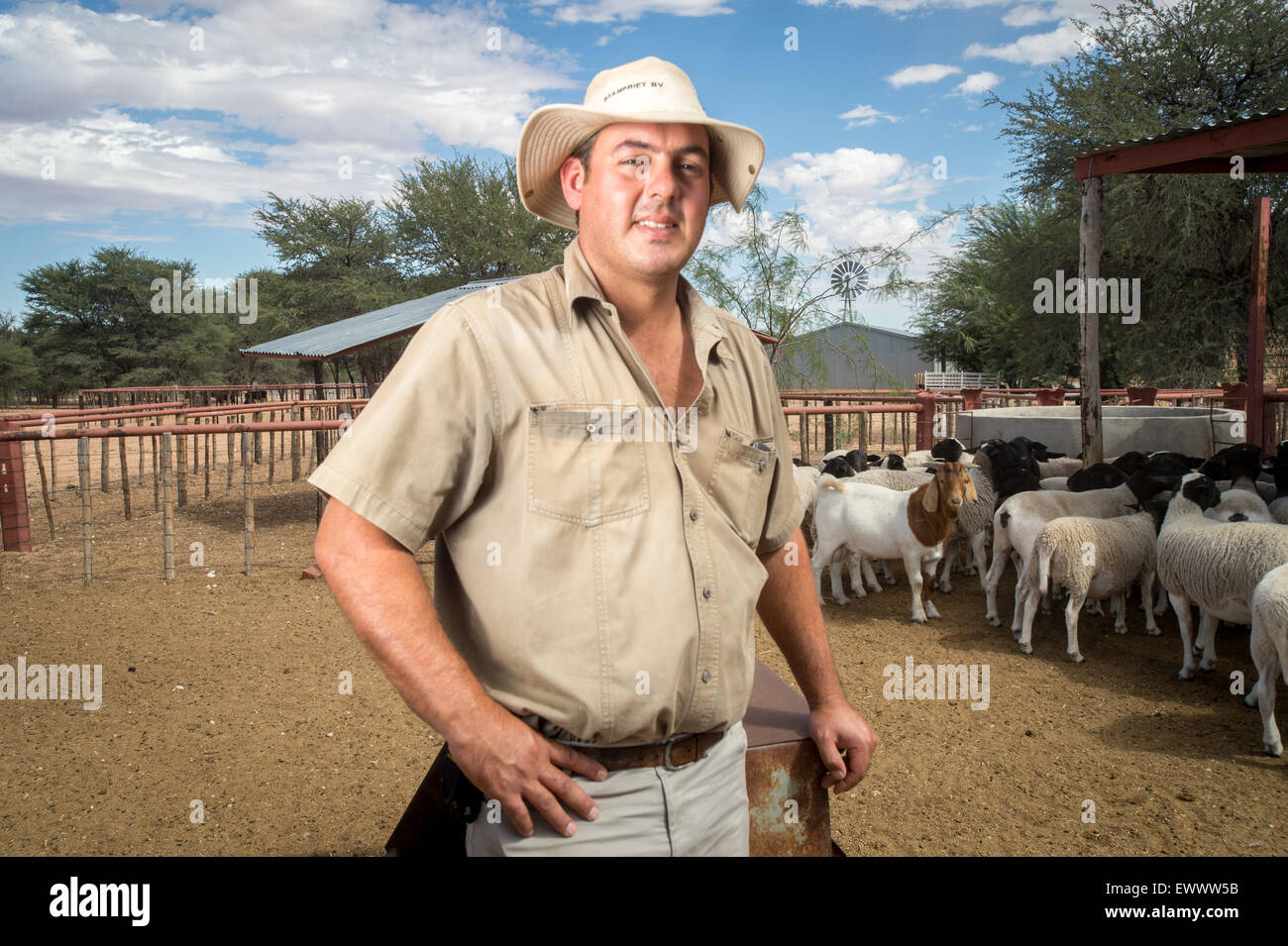 Namibia - Portrait of sheep and shepherd in Africa Stock Photo - Alamy