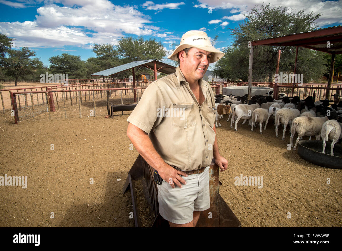 Namibia - Portrait of sheep and shepherd in Africa Stock Photo - Alamy