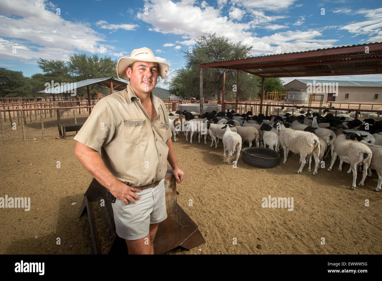 Namibia - Portrait of sheep and shepherd in Africa Stock Photo - Alamy