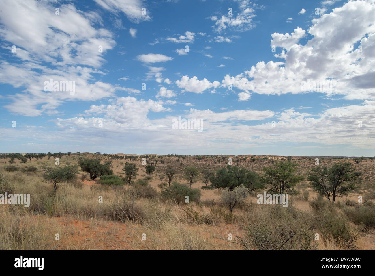 Rough rugged terrain hi-res stock photography and images - Alamy