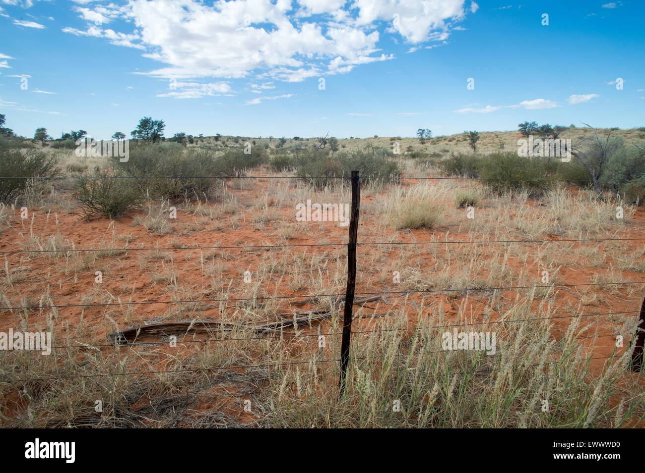 Namibia - Fence in front of African landscape with blue sky Stock Photo ...