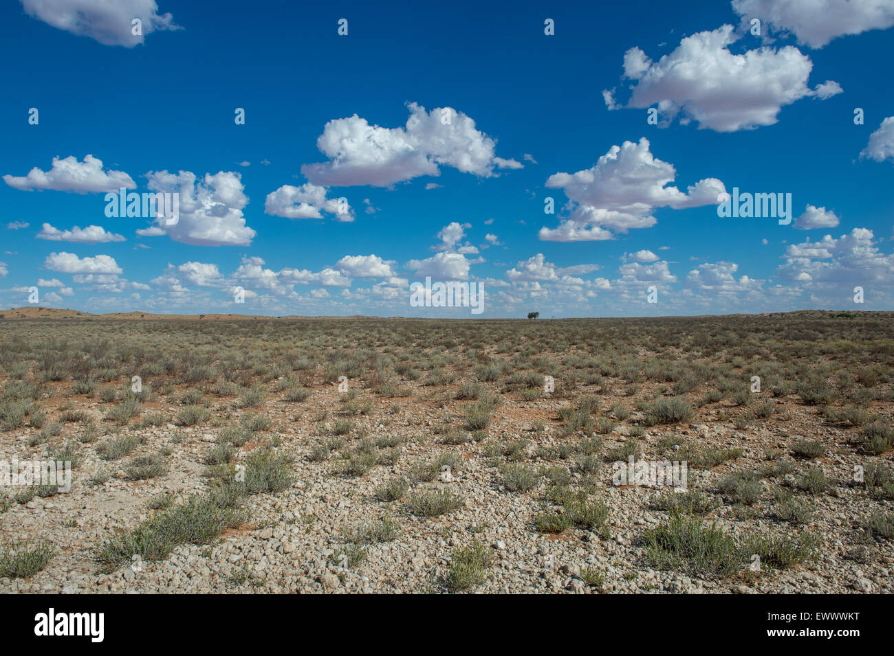 Khalagadi Transfrontier Park, South Africa - Open African landscape at ...