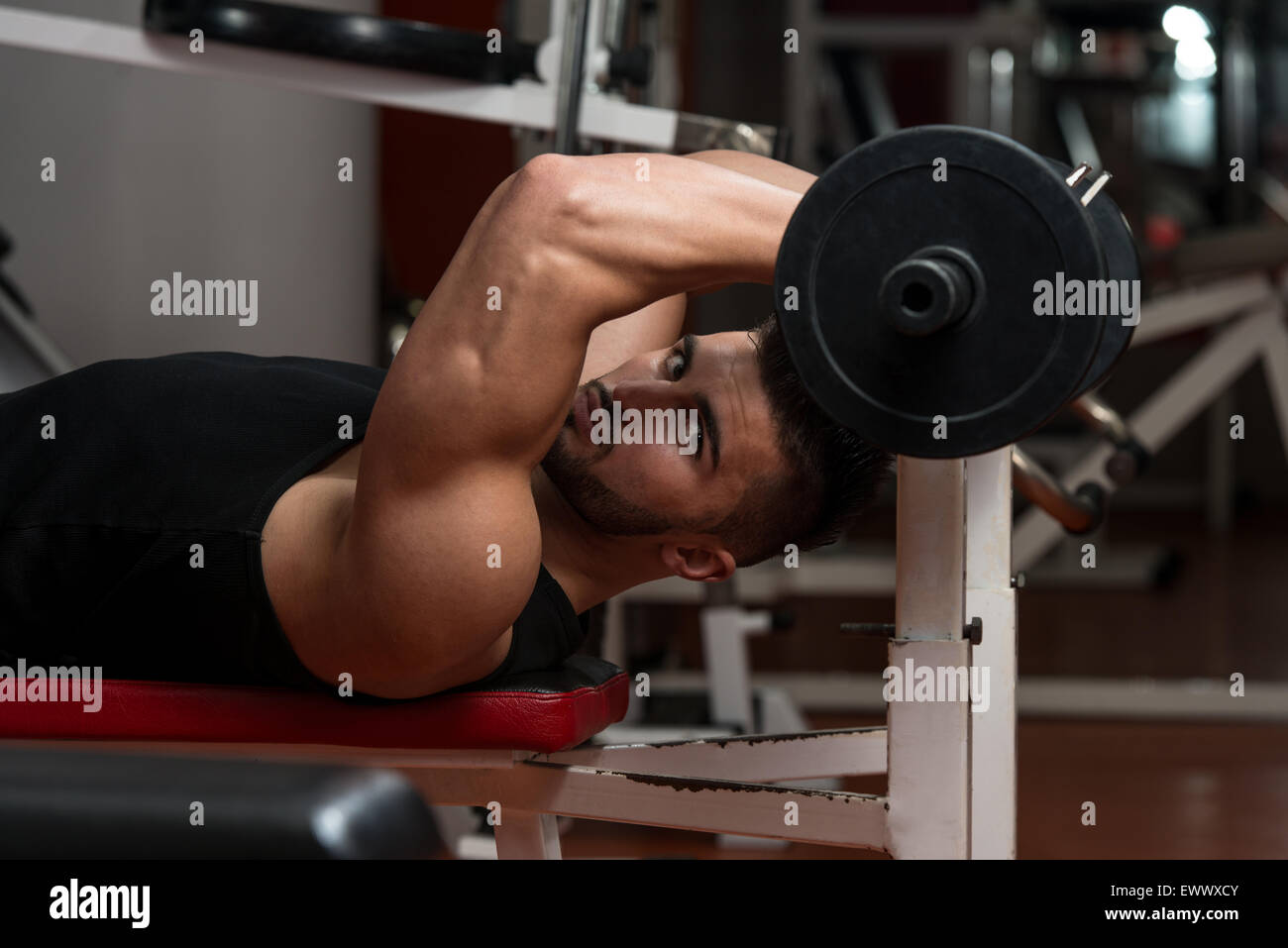 Young Men Doing Exercise For Triceps Stock Photo - Alamy