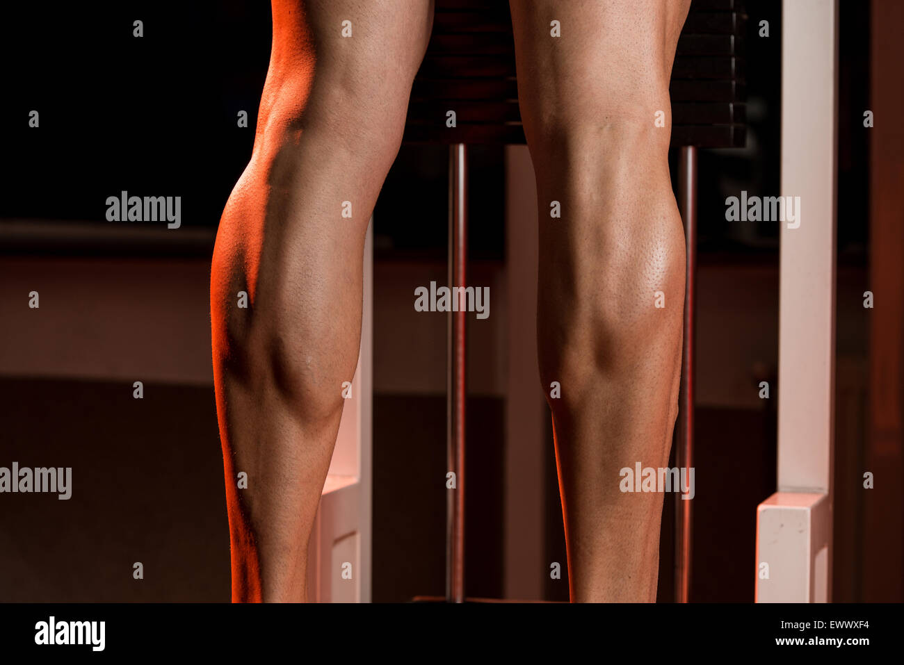 Amazing legs hi-res stock photography and images - Alamy