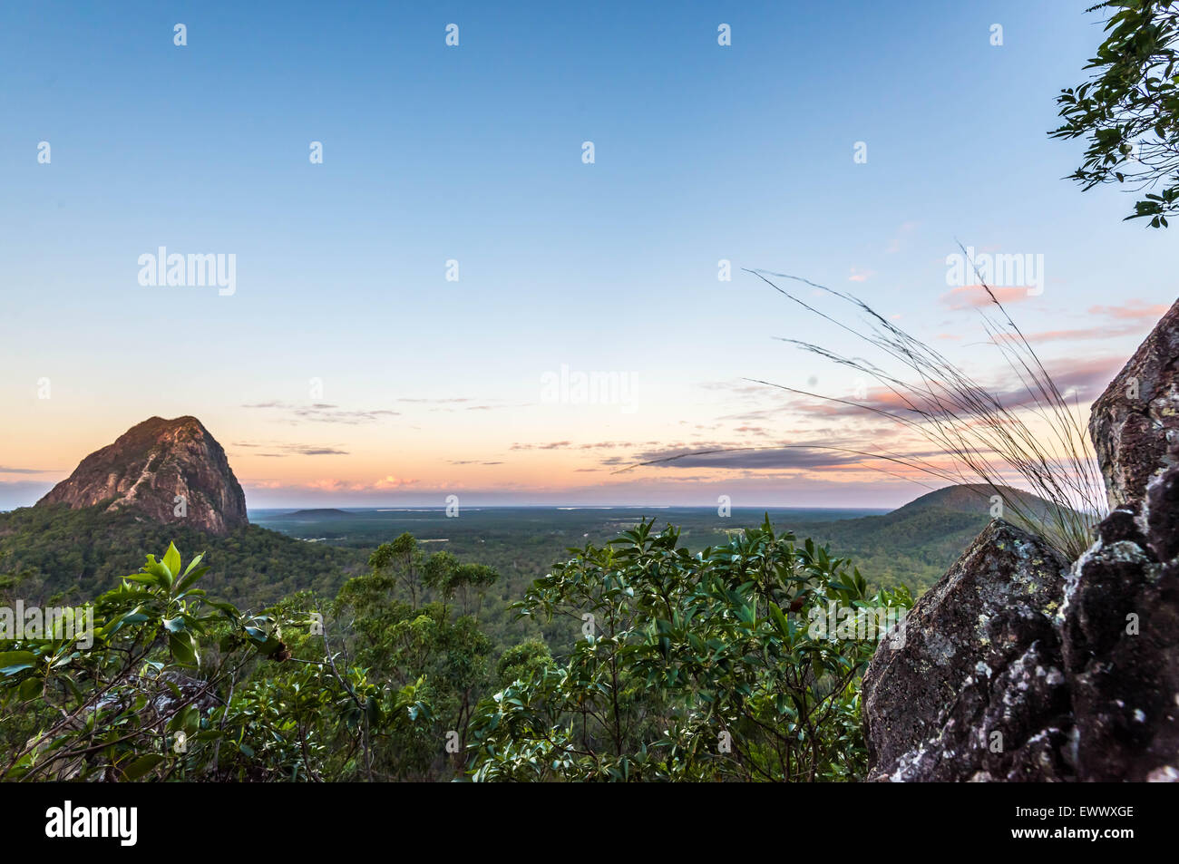Grass on rock hi-res stock photography and images - Alamy