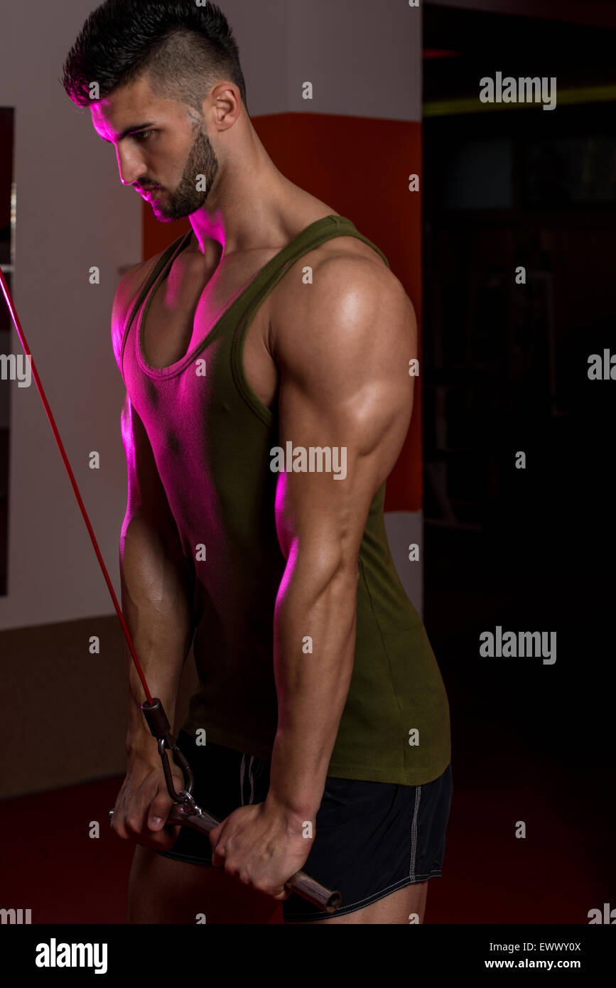 Muscular Man Exercising Triceps Stock Photo - Alamy