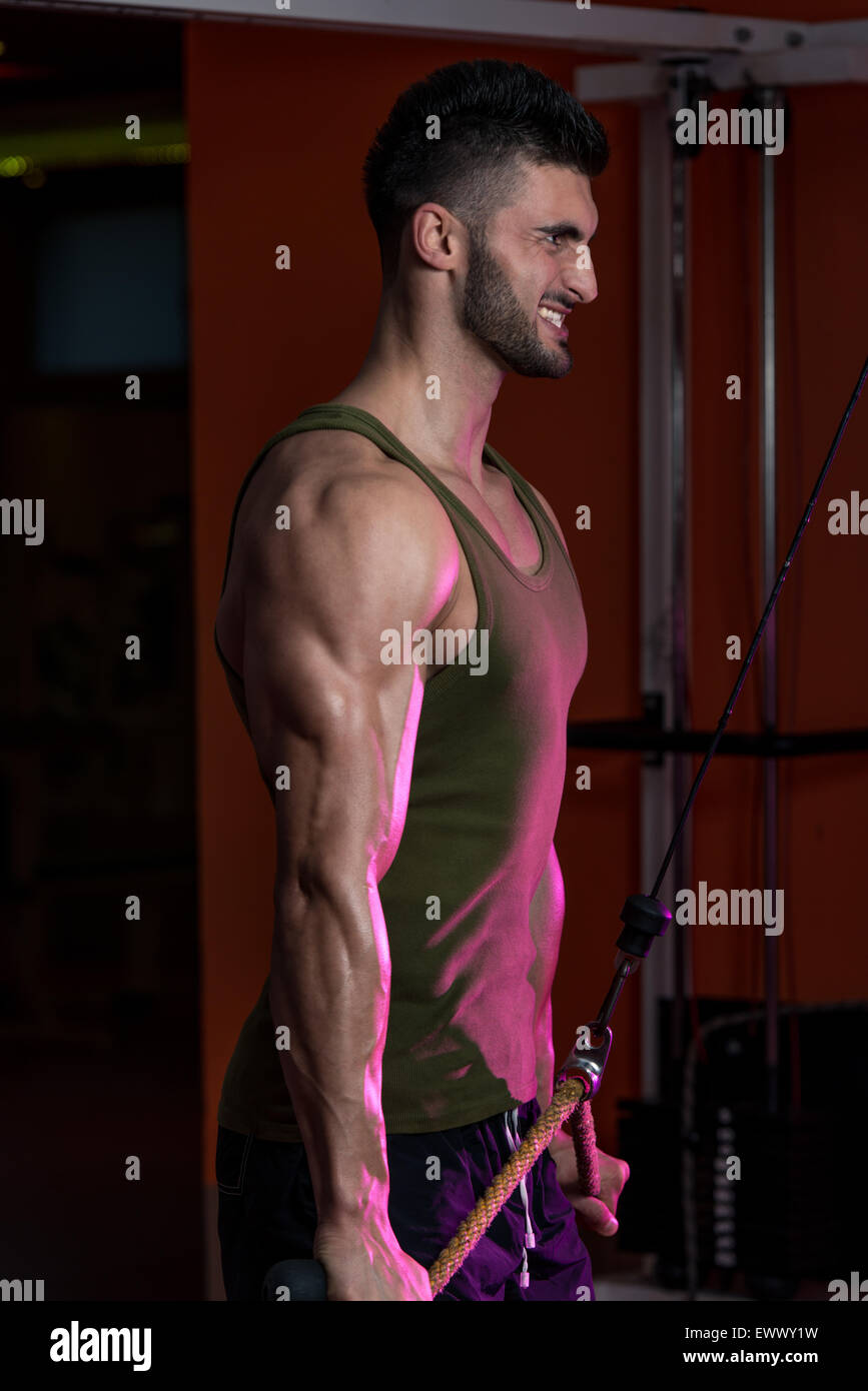 Muscular Man Exercising Triceps Stock Photo - Alamy