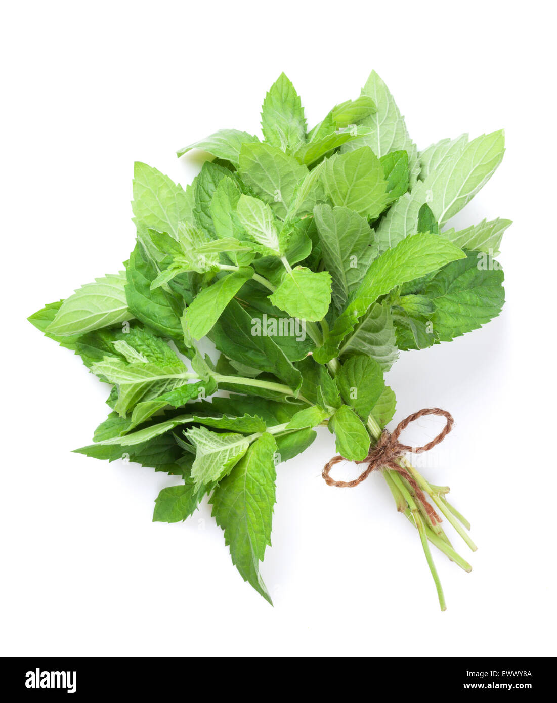 Fresh garden herbs. Mint. Isolated on white background Stock Photo - Alamy