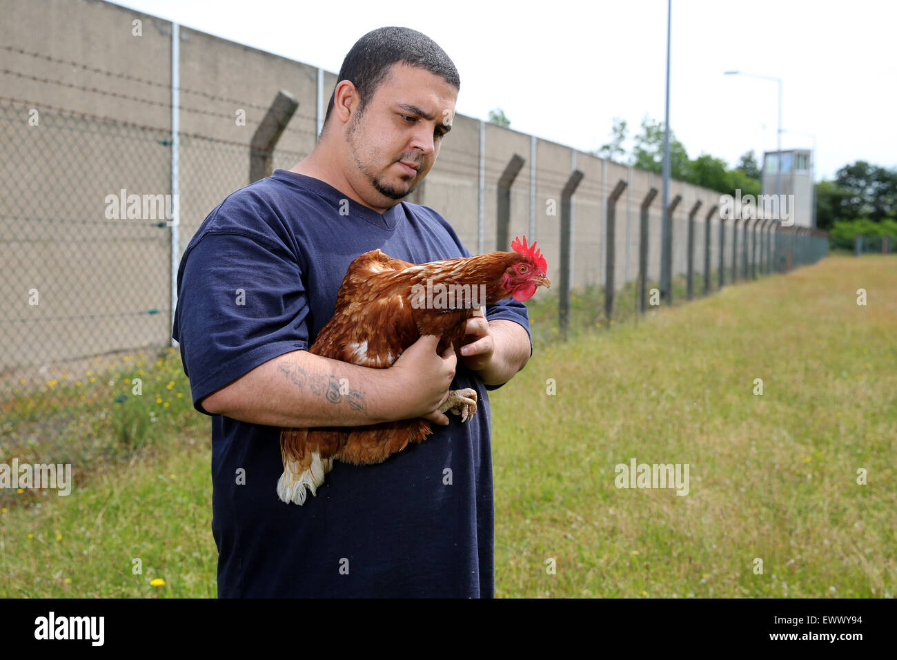 Inmate Marcel T. holds chicken Wilma in the correctional facility ...