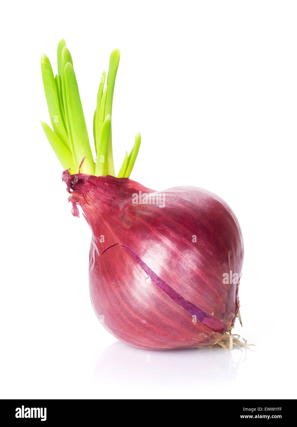 Fresh garden red onion. Isolated on white background Stock Photo - Alamy