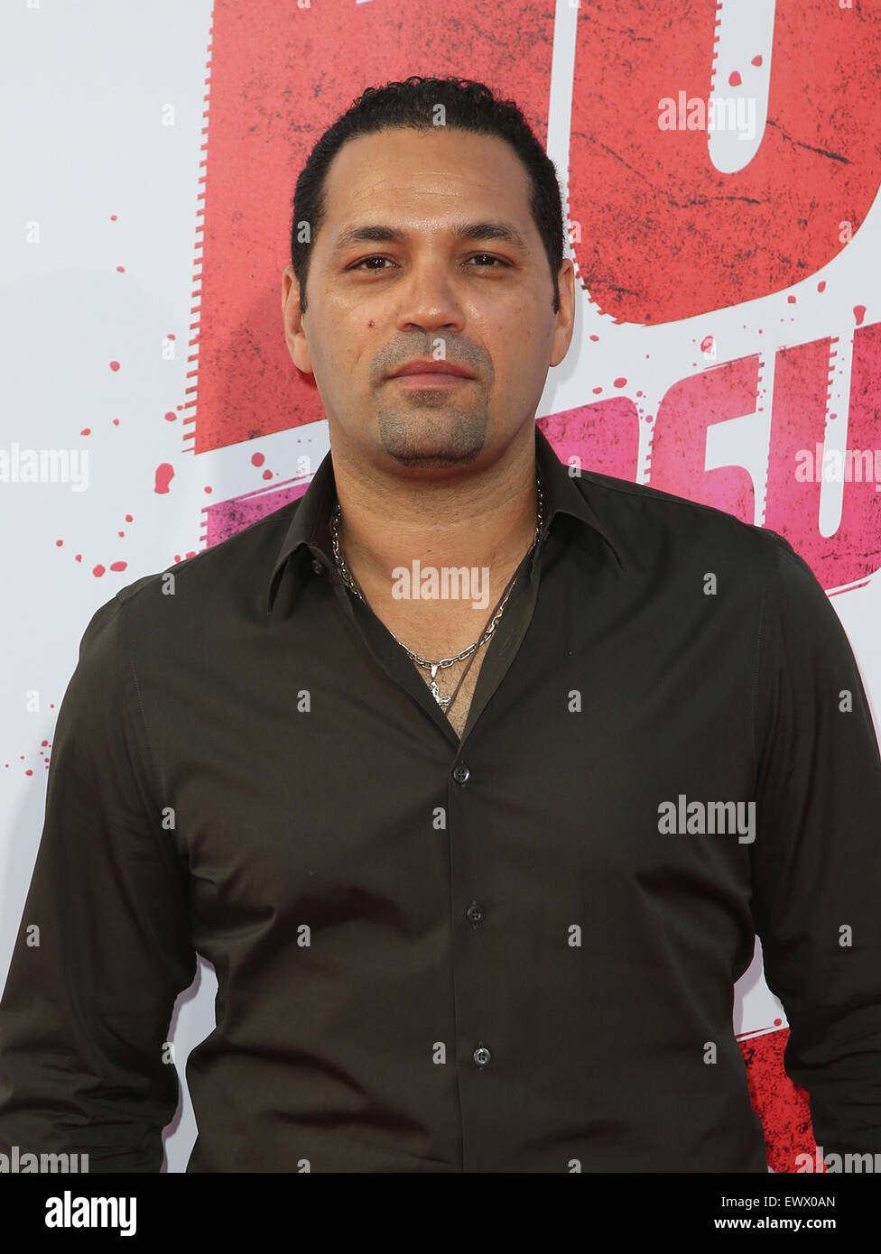 Hot Pursuit - Los Angeles Premiere Featuring: Vincent Laresca Where ...