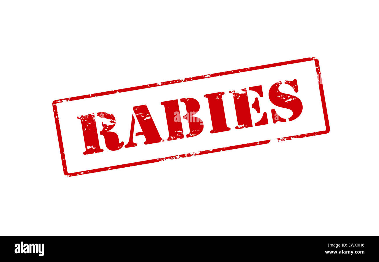 Rubber stamp with word rabies inside hi-res stock photography and ...