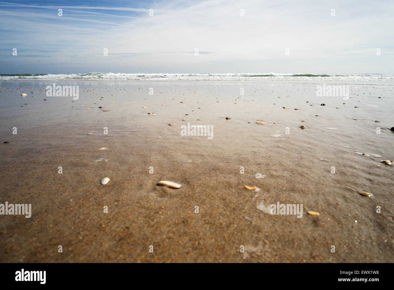 Atlantic ocean beach Stock Photo - Alamy